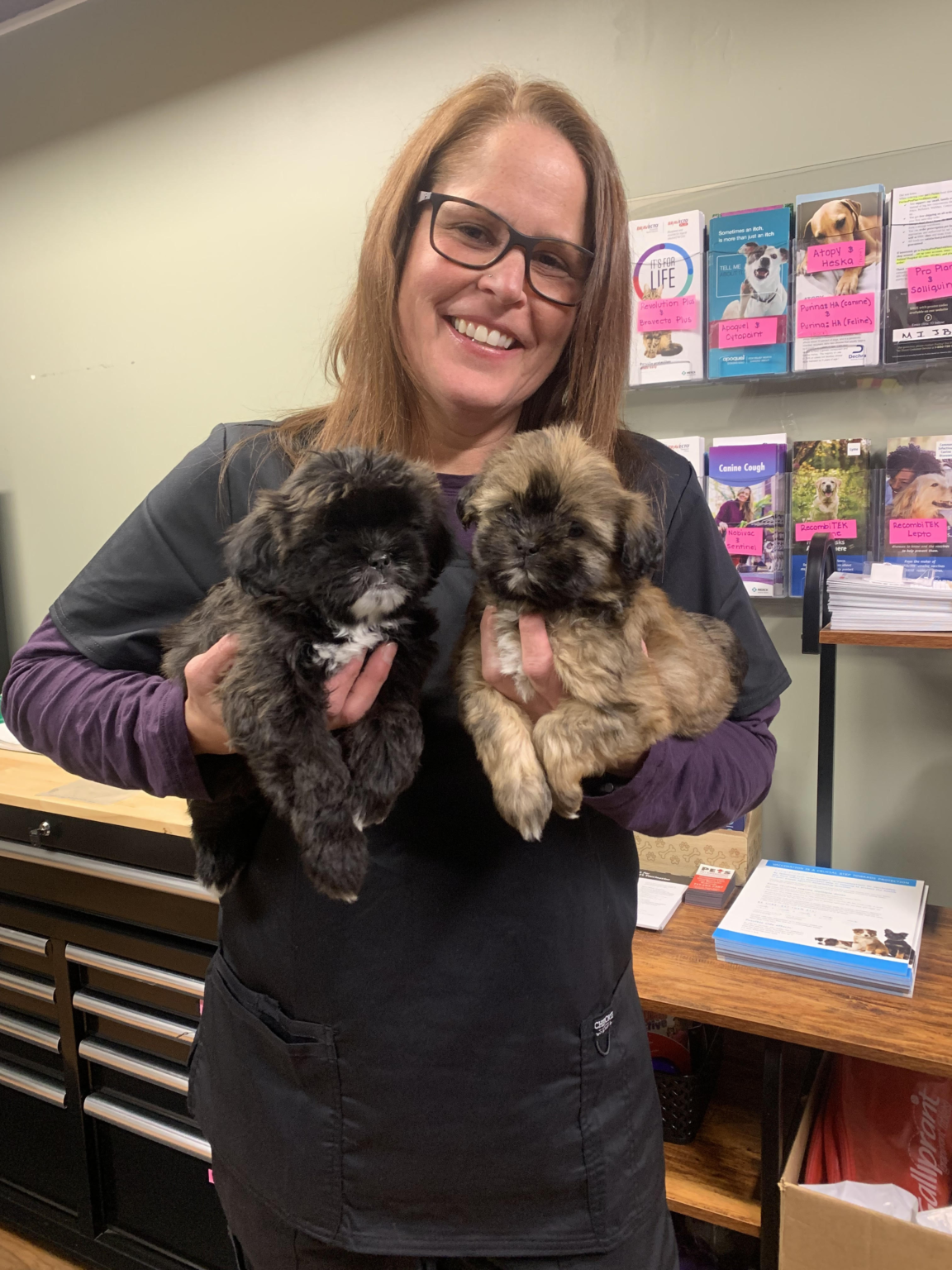 About Us – Derry Animal Hospital